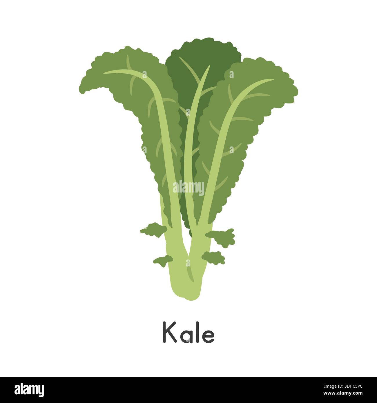 Kale recipe Stock Vector Images - Alamy