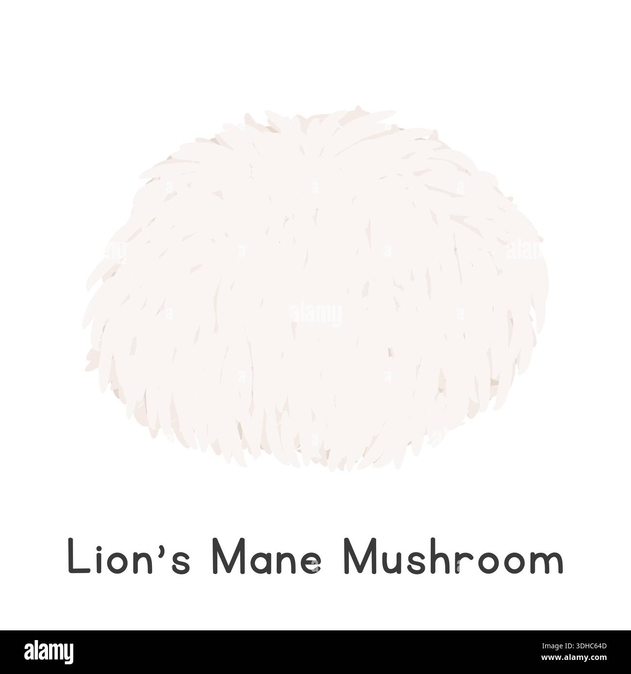 Lions mane mushroom illustration hi-res stock photography and images ...