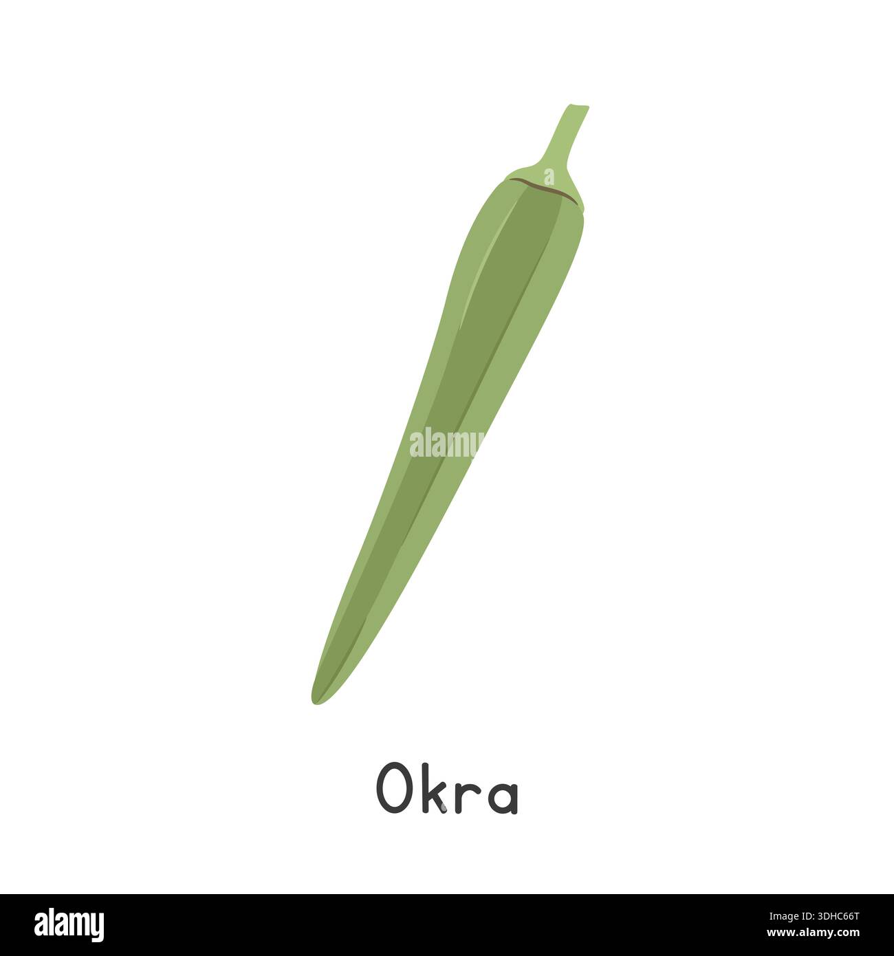 Okra Flat Cartoon Vector Illustration Isolated on White Background ...