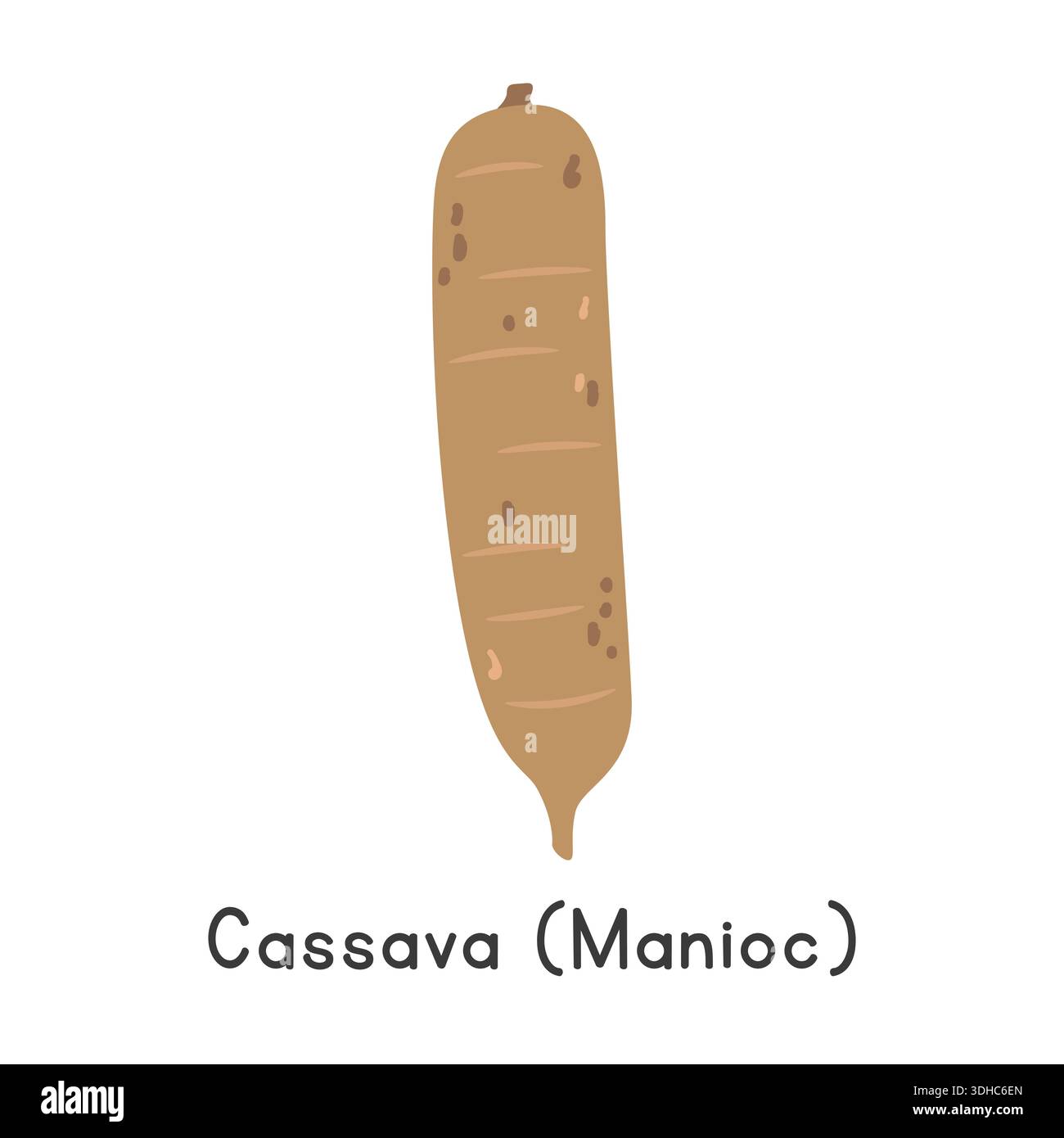 Cassava (Manioc) Vector Illustration. Cassava or Manioc Cartoon Clipart ...