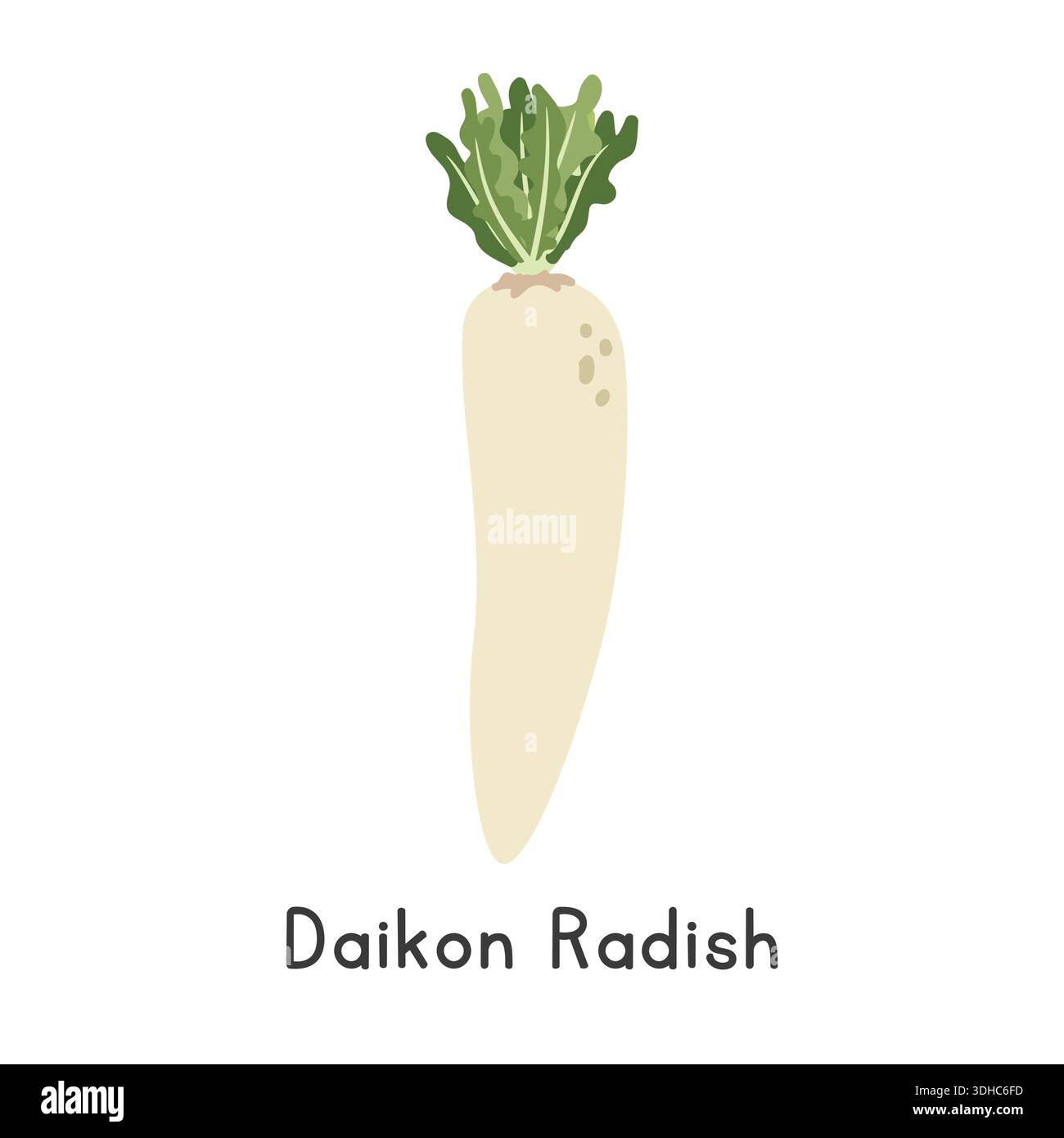 Daikon Vector Illustration. Daikon or White Radish Cartoon Clipart ...