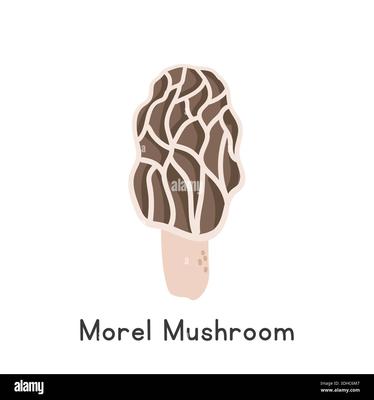Morchella cartoon Stock Vector Images - Alamy