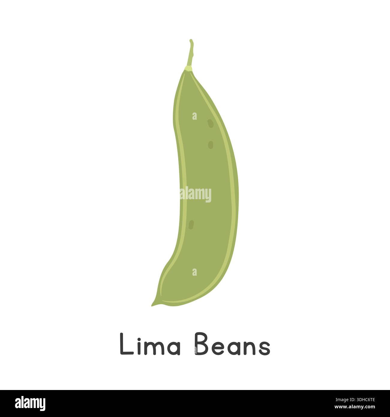 Lima bean farm Stock Vector Images - Alamy