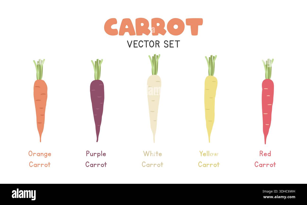 Carrot Vector Illustration Set. Multicolor Carrot Cartoon Clipart Set ...