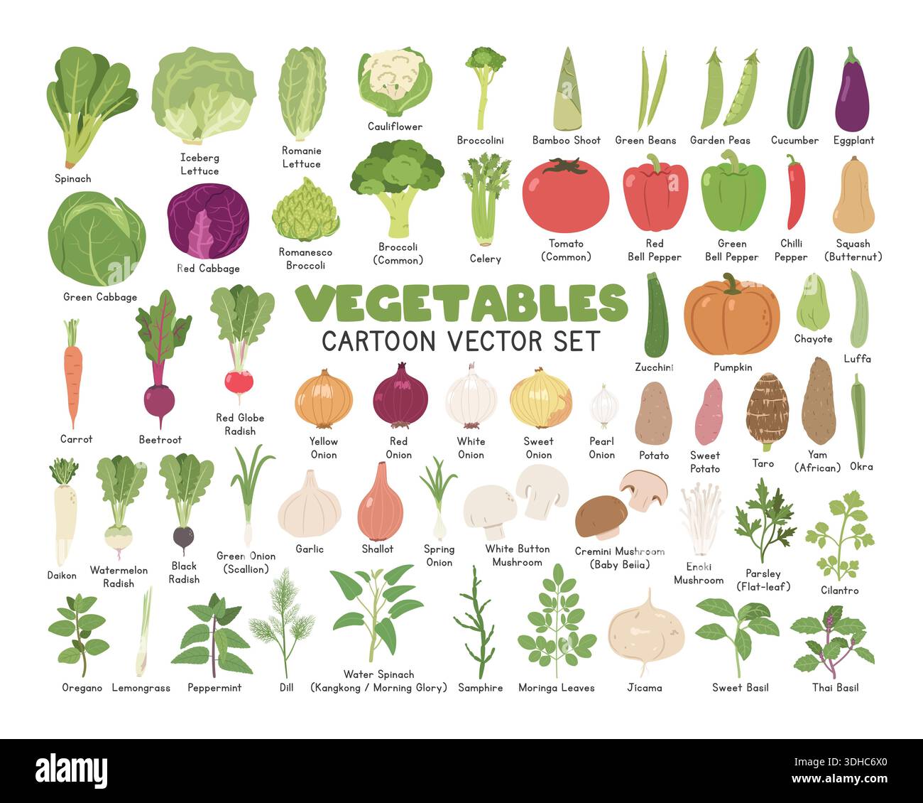 Vegetables Vector Illustration Set. Common Vegetables Cartoon Clipart ...