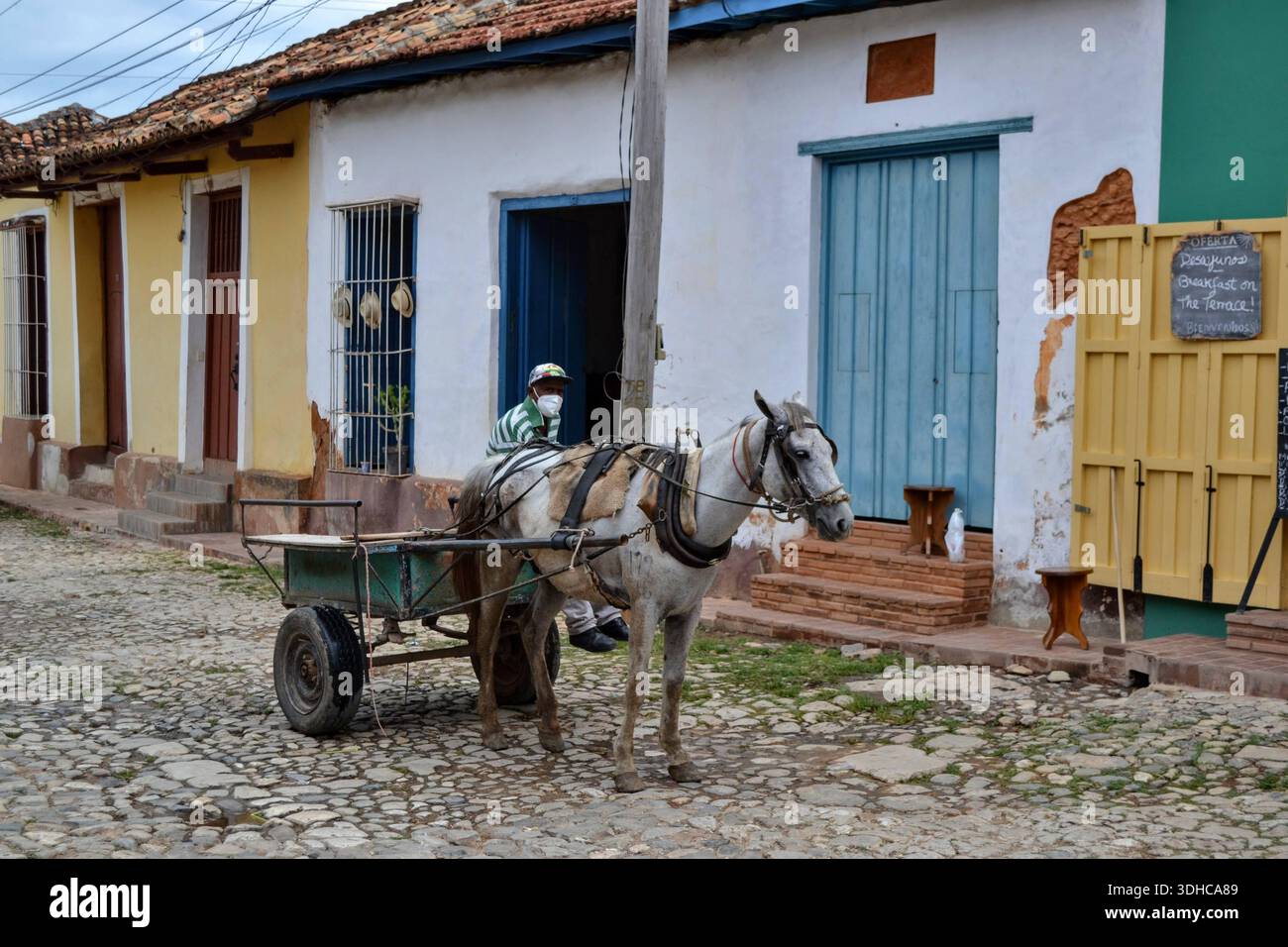 Donkey cart on cobblestone hi-res stock photography and images - Alamy