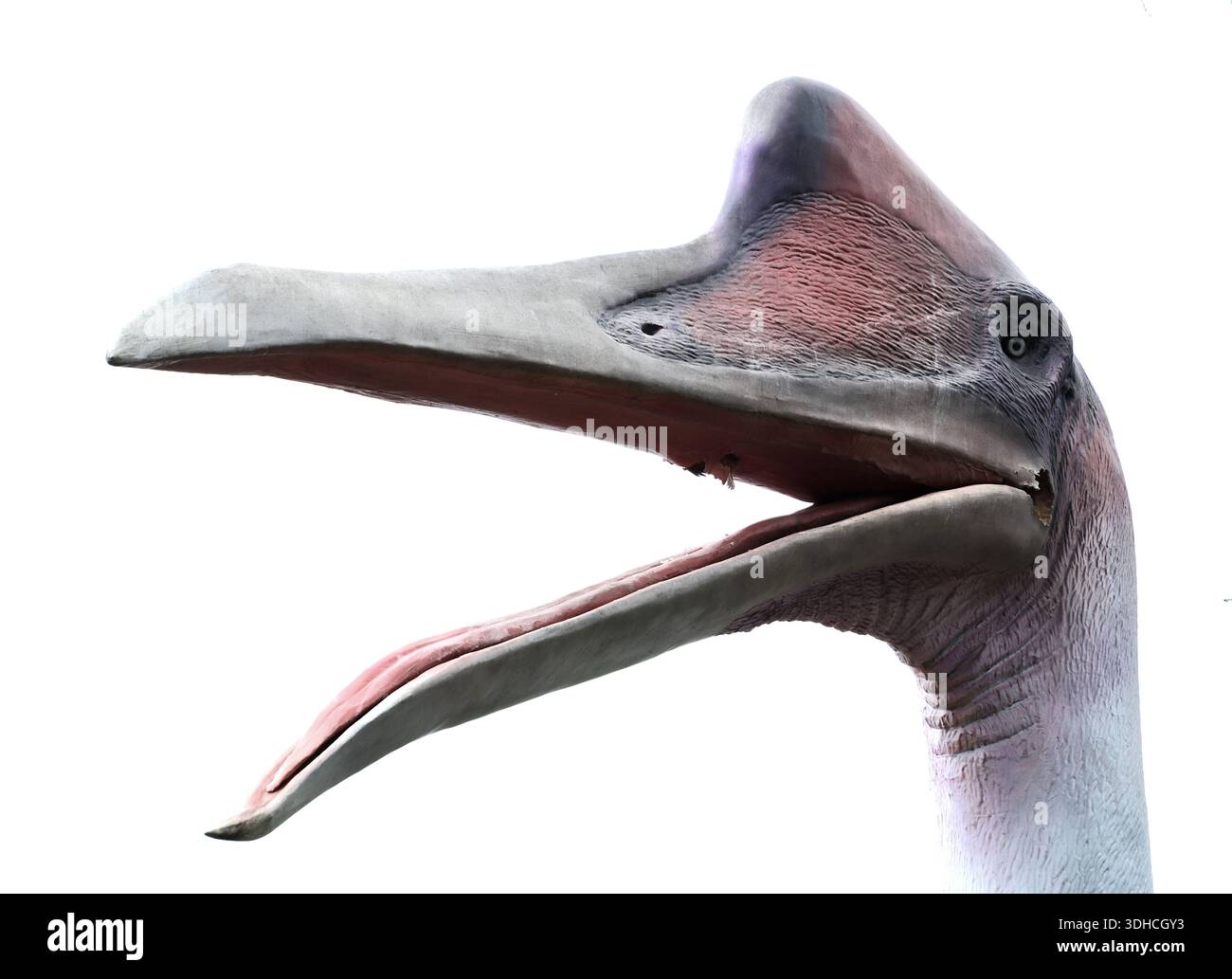 Quetzalcoatlus Cropped Head Dinosaur Model featured in Jurassic Park at ...