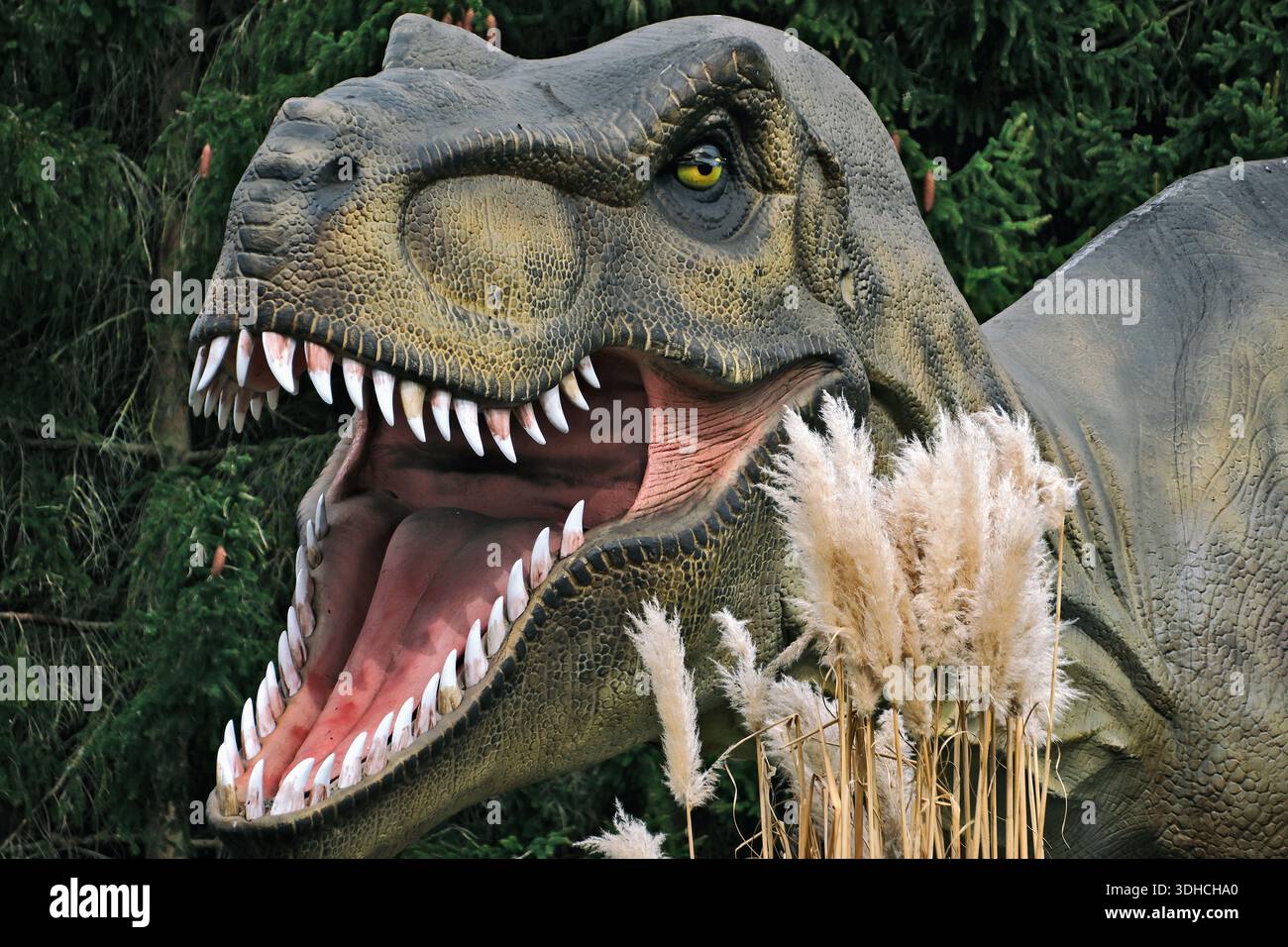 T Rex Head CLose Up Dinosaur Model featured in Jurassic Park at Hoo Zoo ...