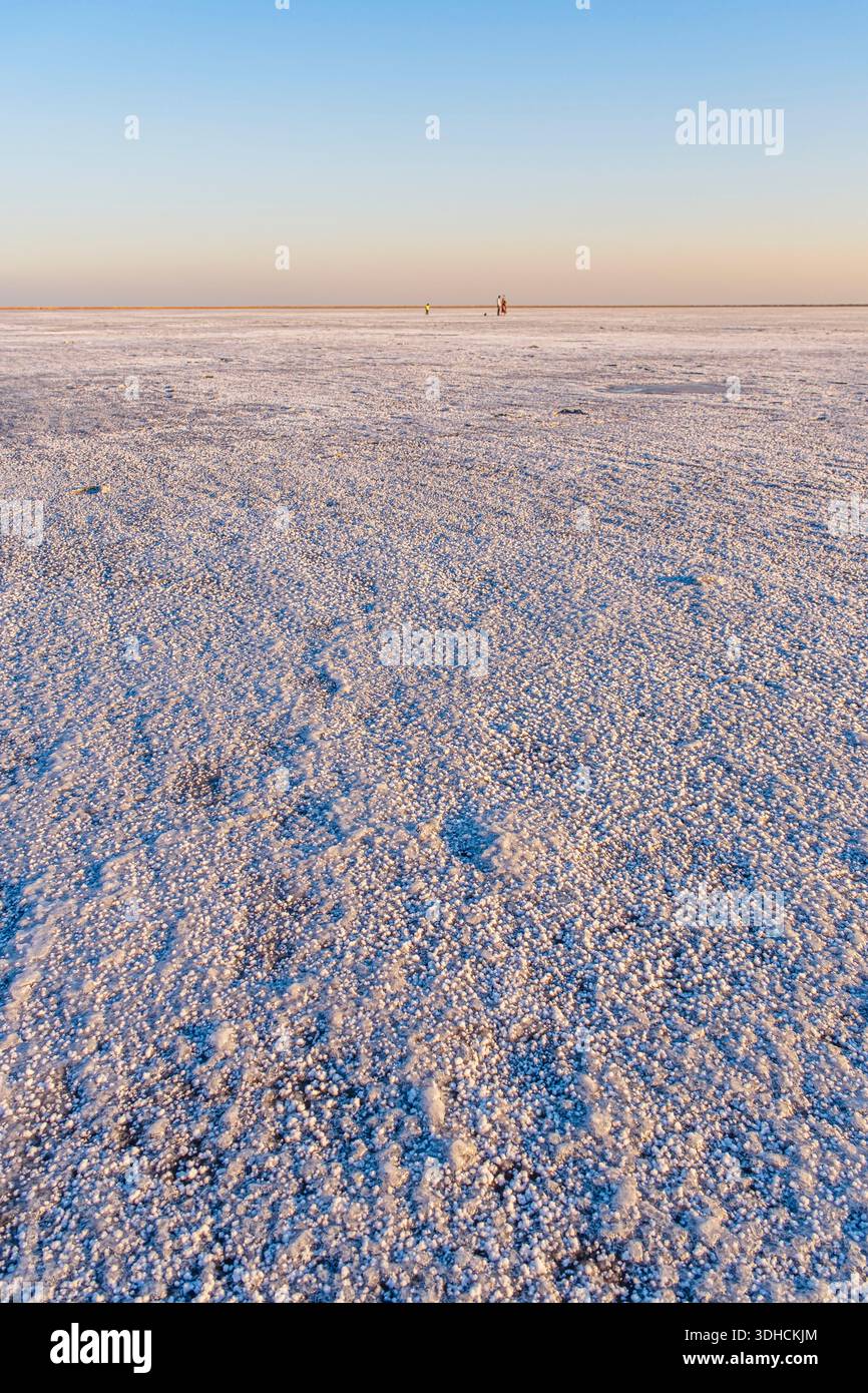 India, Gujarat state, Kutch region, the Great Rann of Kutch, one of the ...