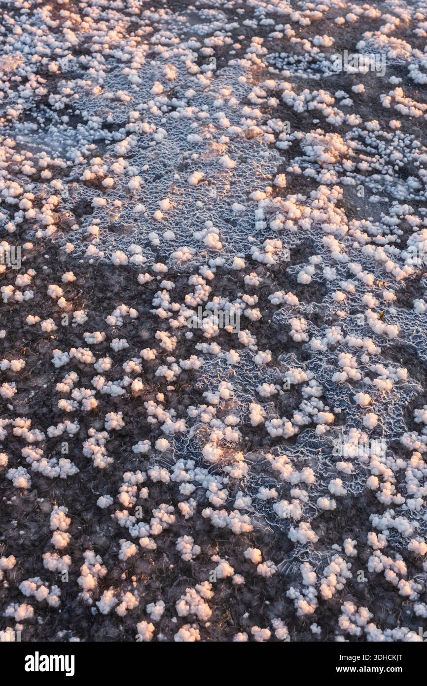 India, Gujarat state, Kutch region, the Great Rann of Kutch, one of the ...