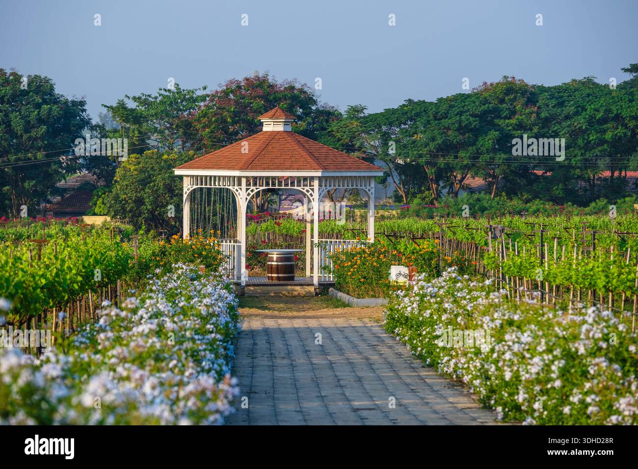 India, Maharashtra State, Nashik, Sula Vineyards, winery and vineyard ...
