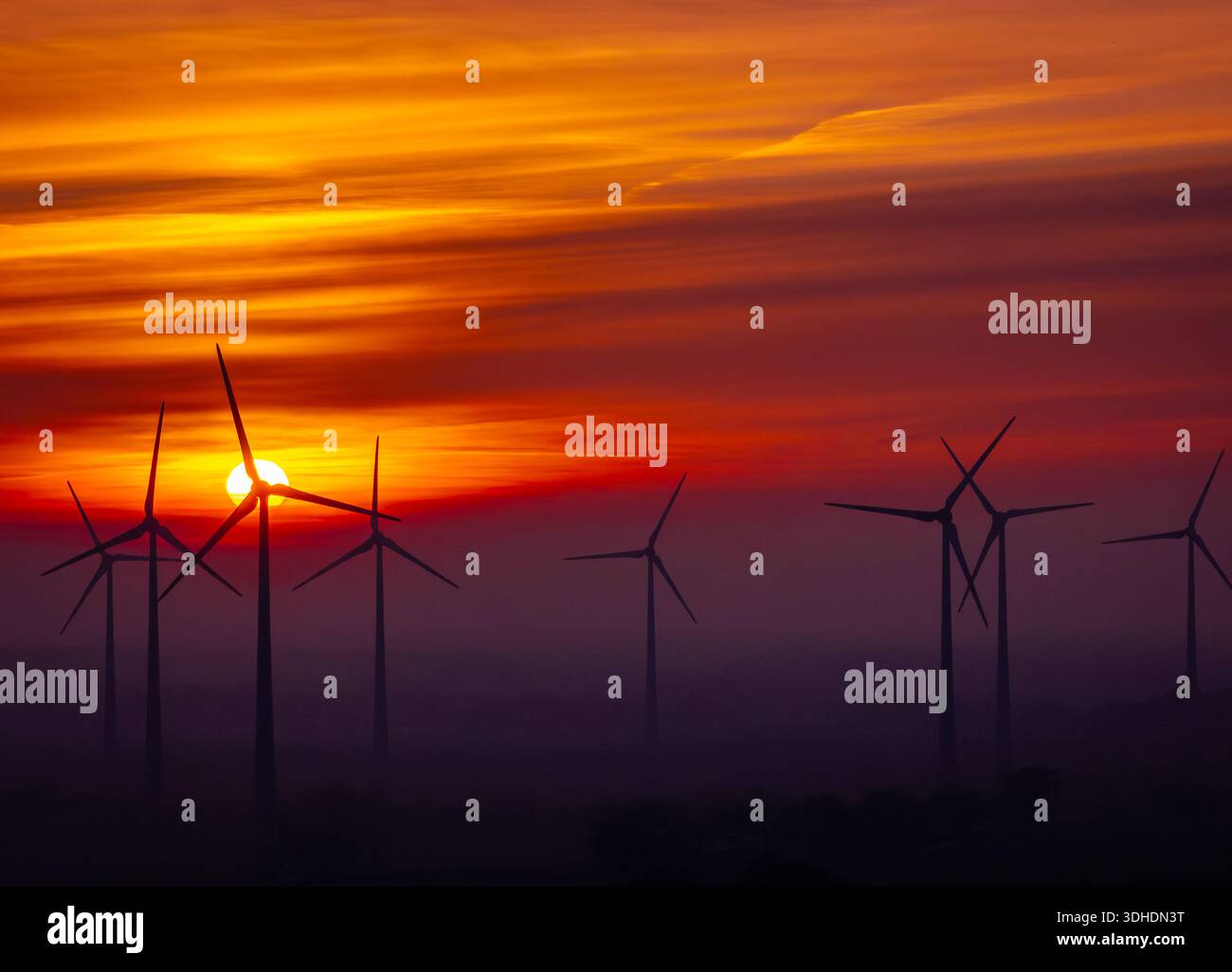 Renzow, Germany. 21st Jan, 2026. The rotors of wind turbines turn ...