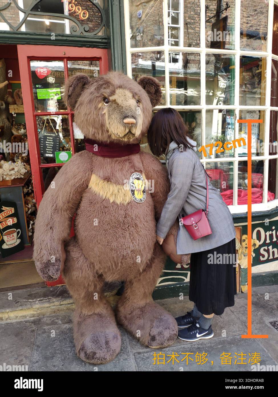 Giant Teddy Bear Statue Standing Next to Woman on Street Stock Photo ...