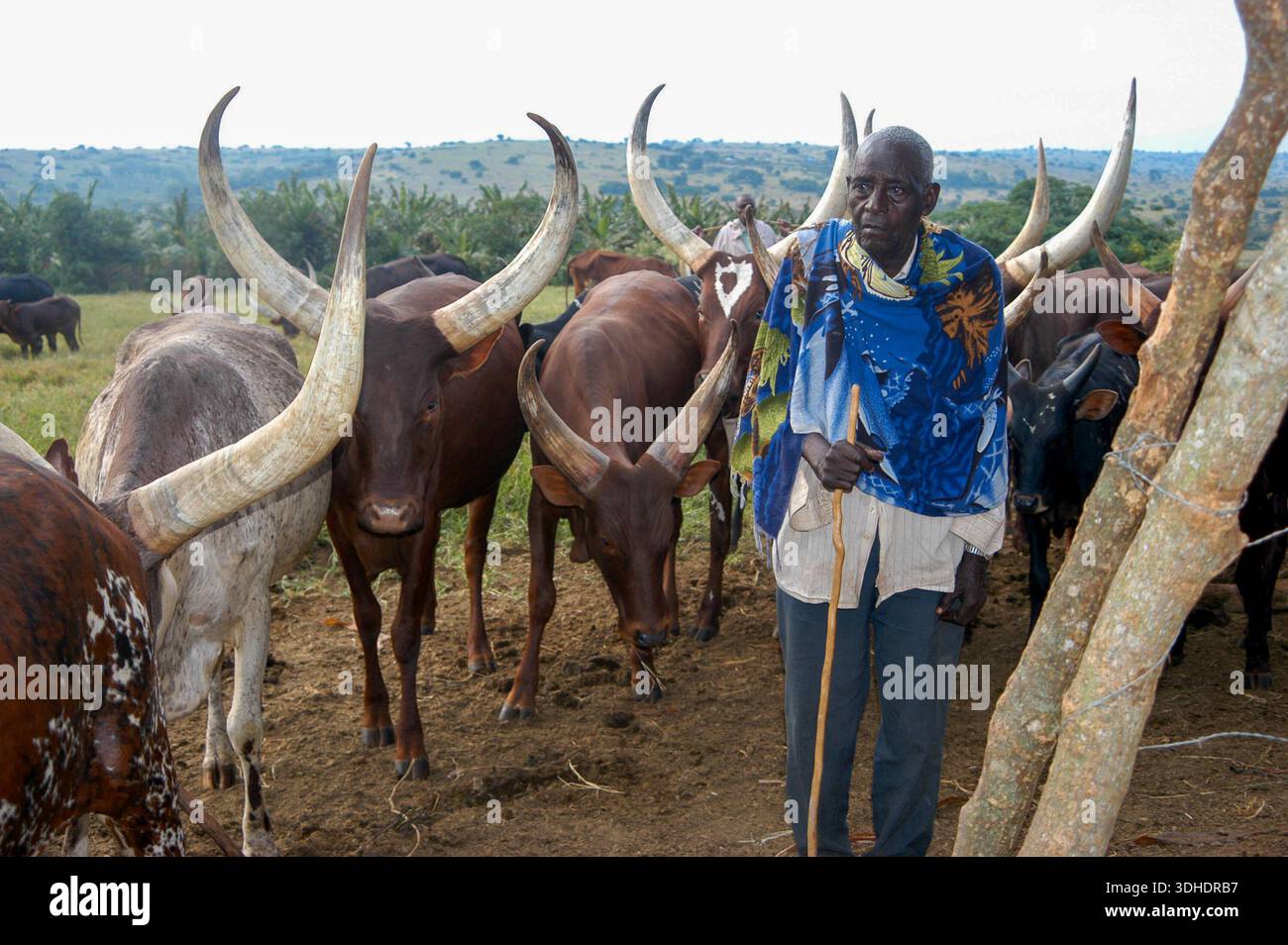 Pastoral traditions uganda hi-res stock photography and images - Alamy