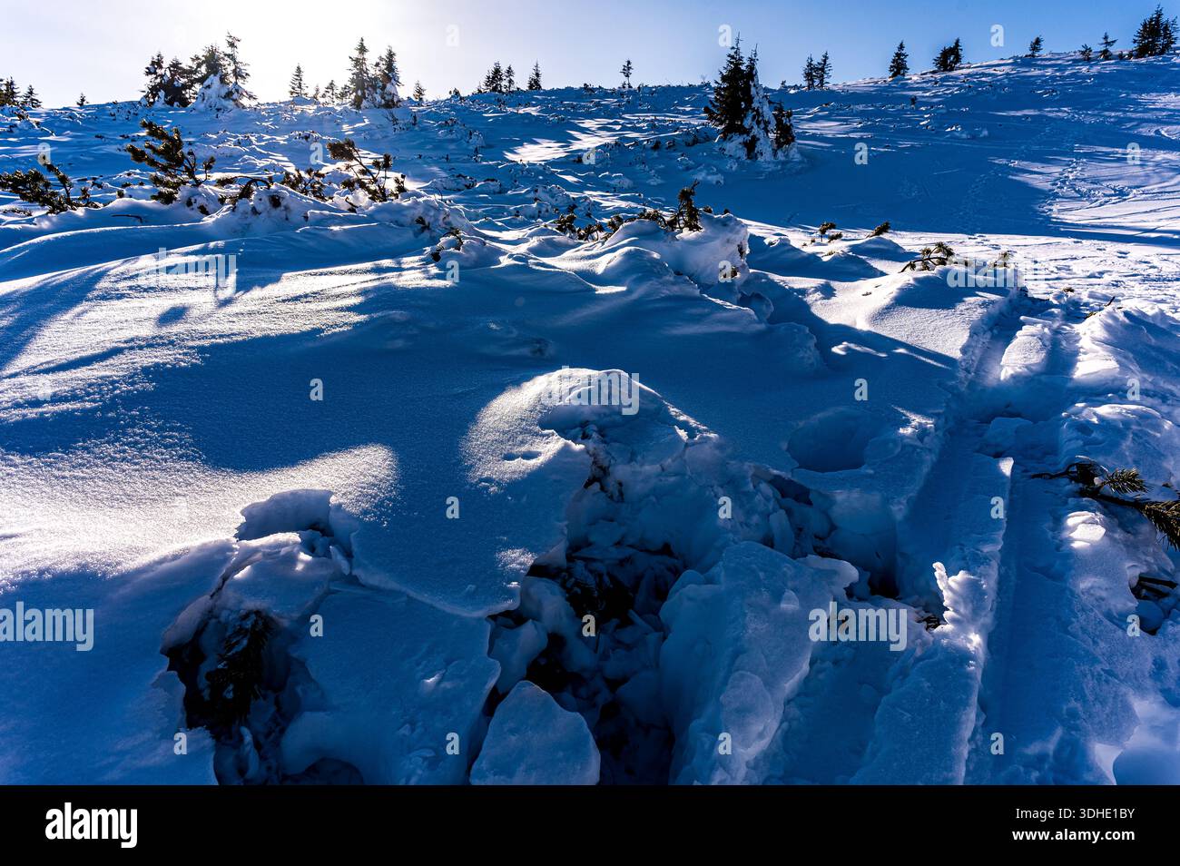 Frosty hiking trail hi-res stock photography and images - Alamy