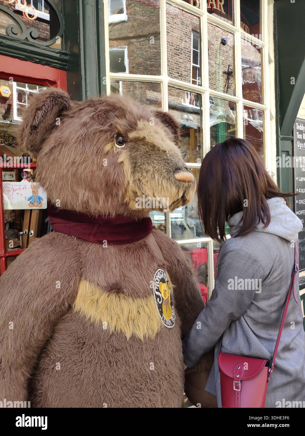 Giant teddy bear wearing hi-res stock photography and images - Alamy