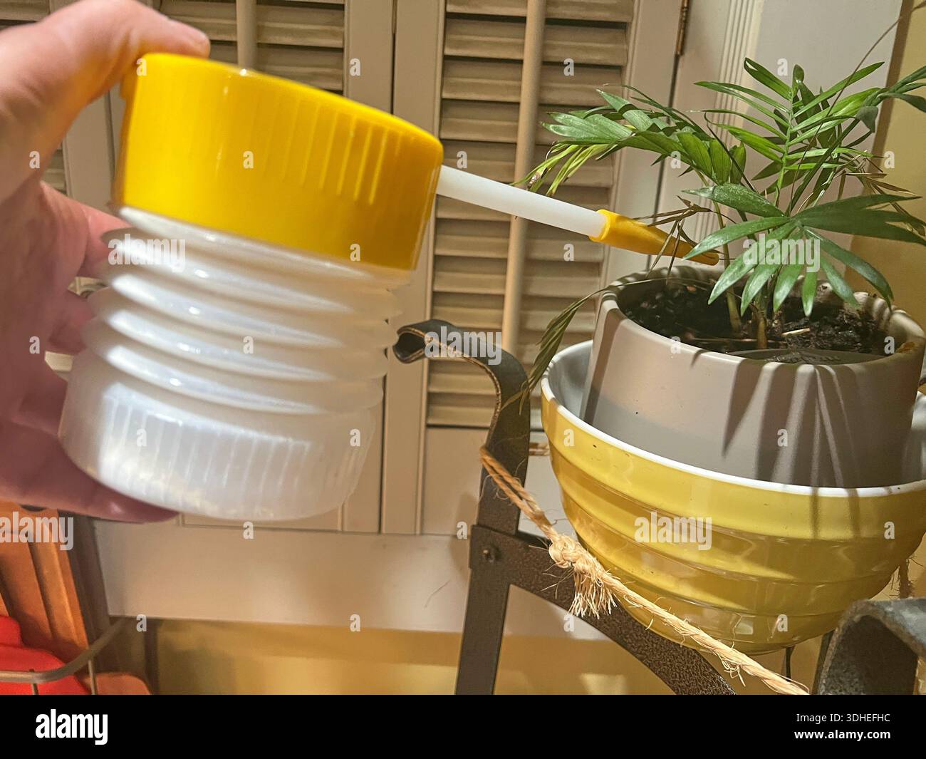 Diatomaceous earth, a natural insecticide, is administered to a plant’s ...