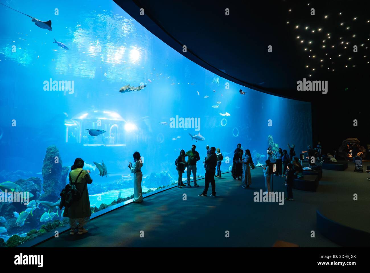 Poema del Mar panoramic tank with sharks and rays in Las Palmas Stock ...