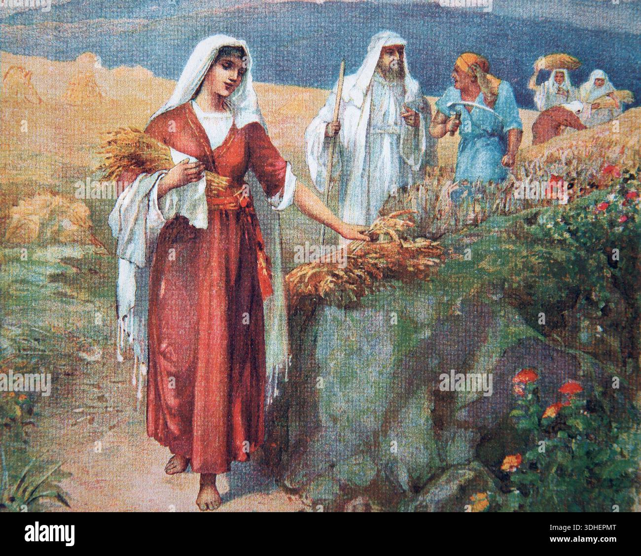 Illustration of Ruth Gleaning in the Corn Field (Ruth) from Antique ...