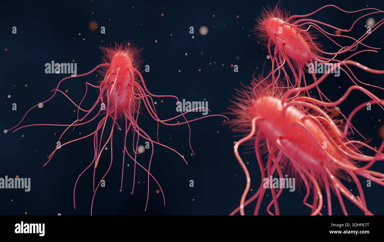 a 3d rendering of rod-shaped bacteria with numerous long, whip-like ...