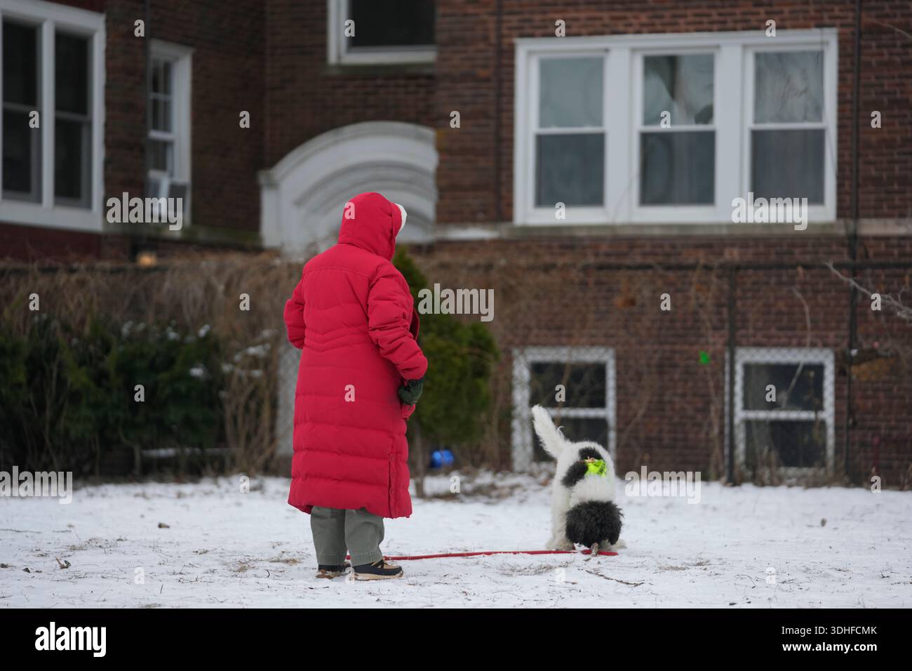 A person stays bundled as they walk their dog on a cold Wednesday, Jan ...
