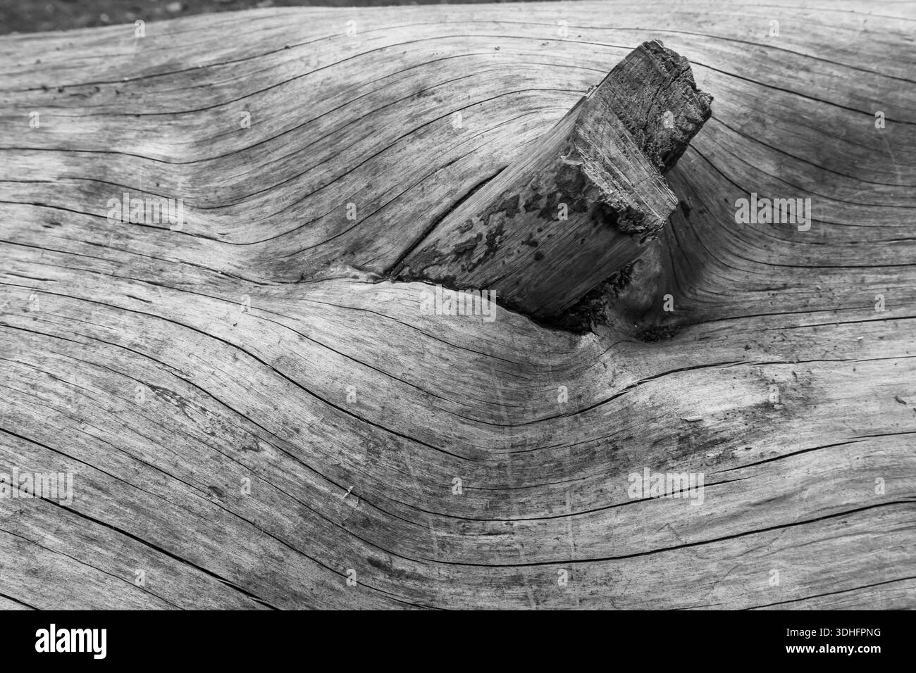 Emerging lines Black and White Stock Photos & Images - Alamy