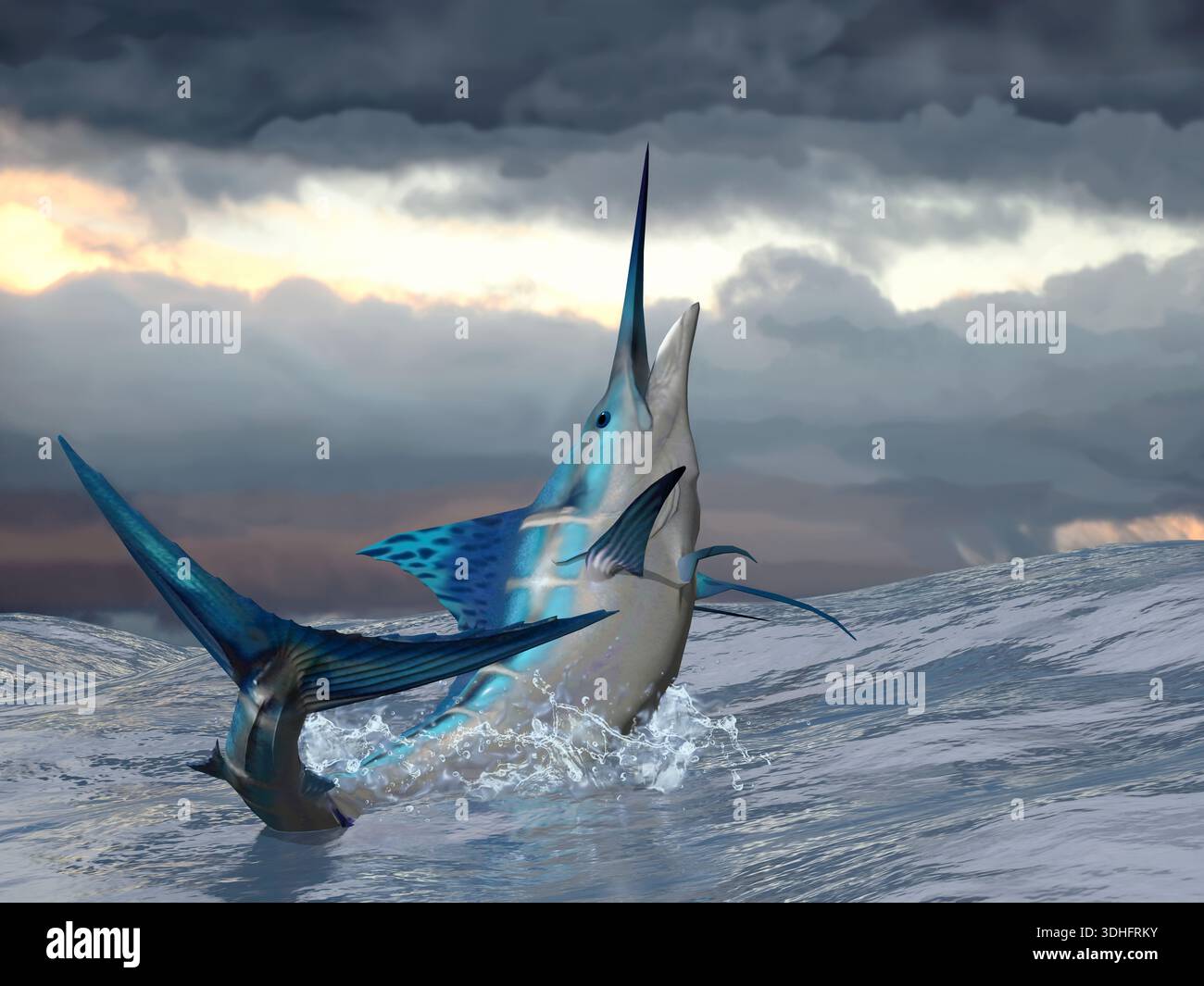 The Blue Marlin is a favorite fish of sport fishermen and one of the ...