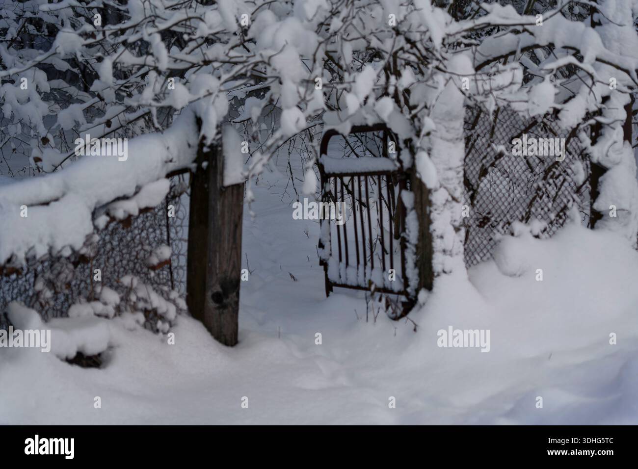 Old metal gate and fence buried under deep snow in a quiet countryside ...