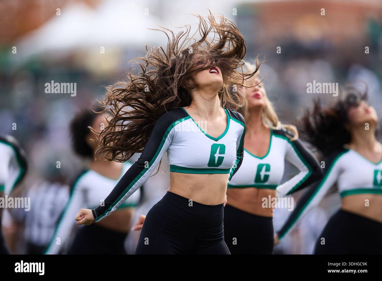 The Gold Dusters entertain the crowd during an NCAA college football ...
