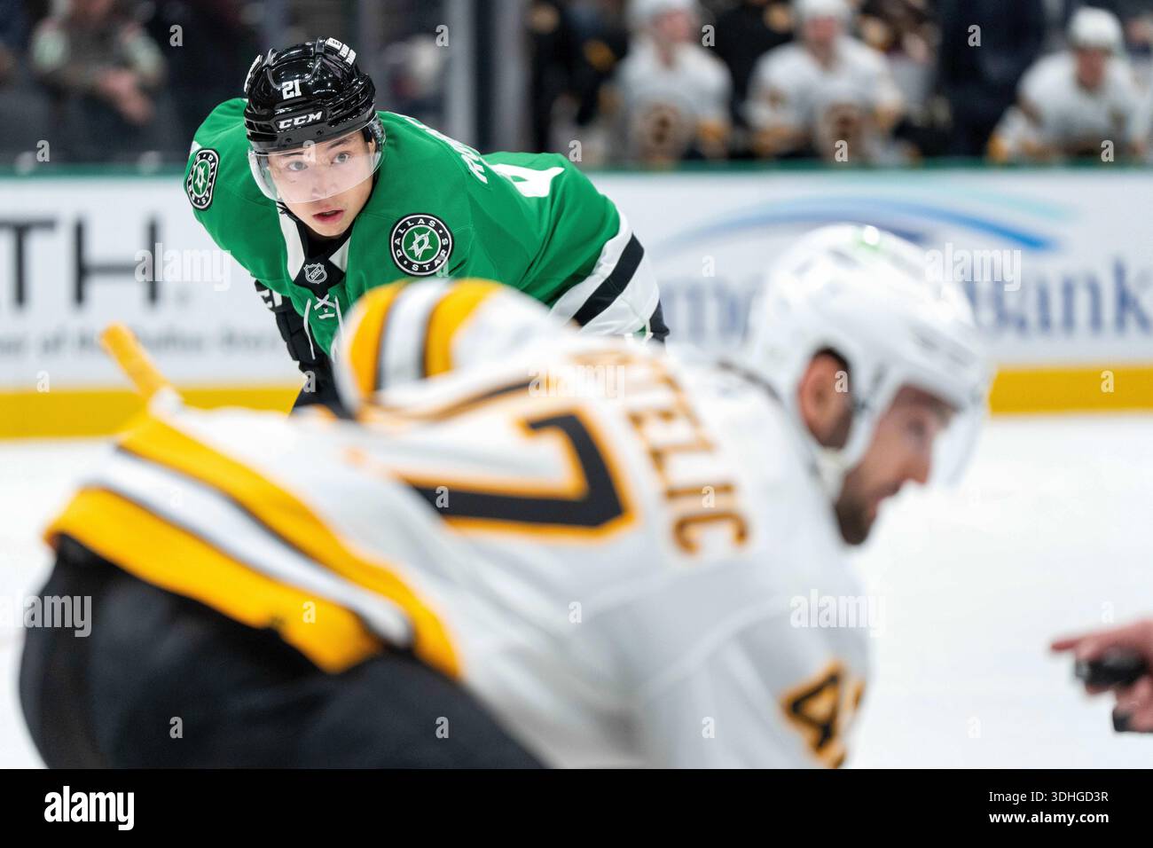 Dallas Stars left wing Jason Robertson waits for a face off during an ...