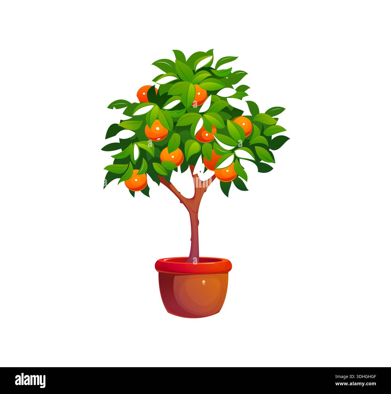 Fresh orange tree leaves citrus Stock Vector Images - Alamy