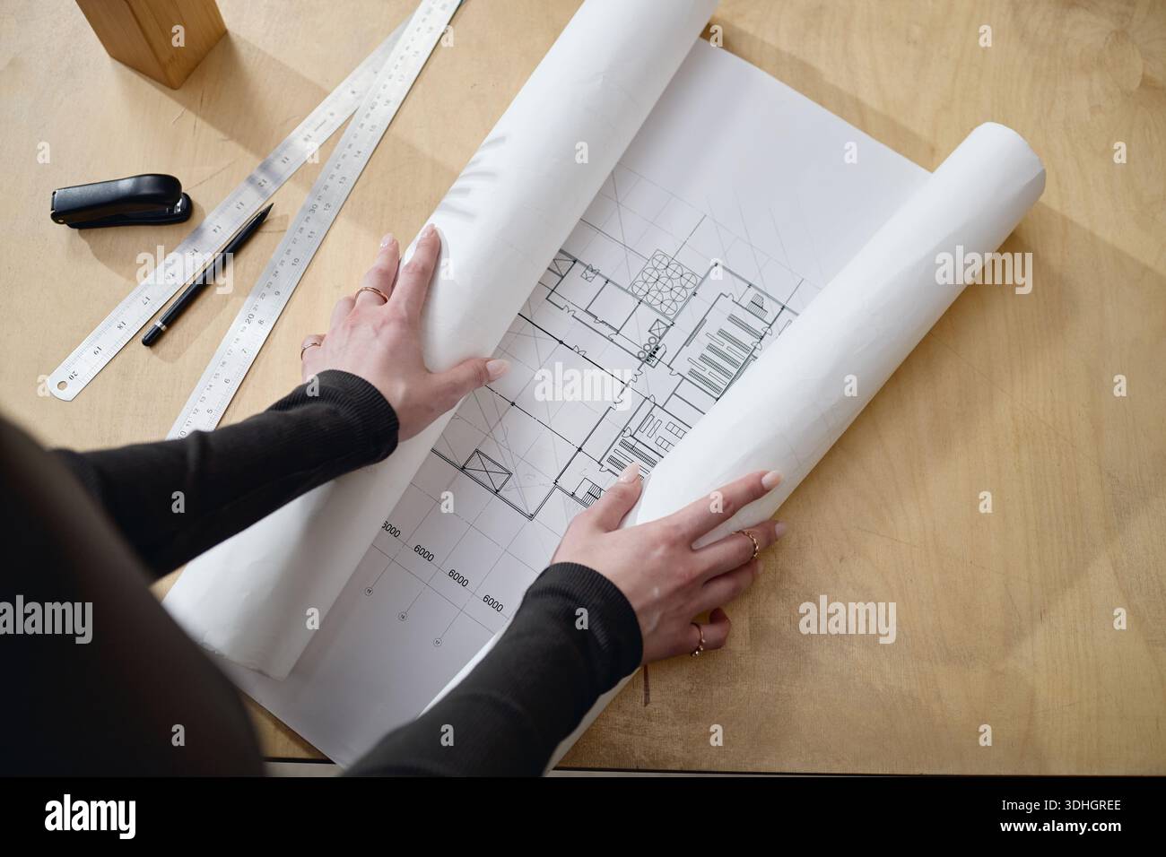 Caucasian Young Adult Woman Unrolling Architectural Blueprint on Wooden ...