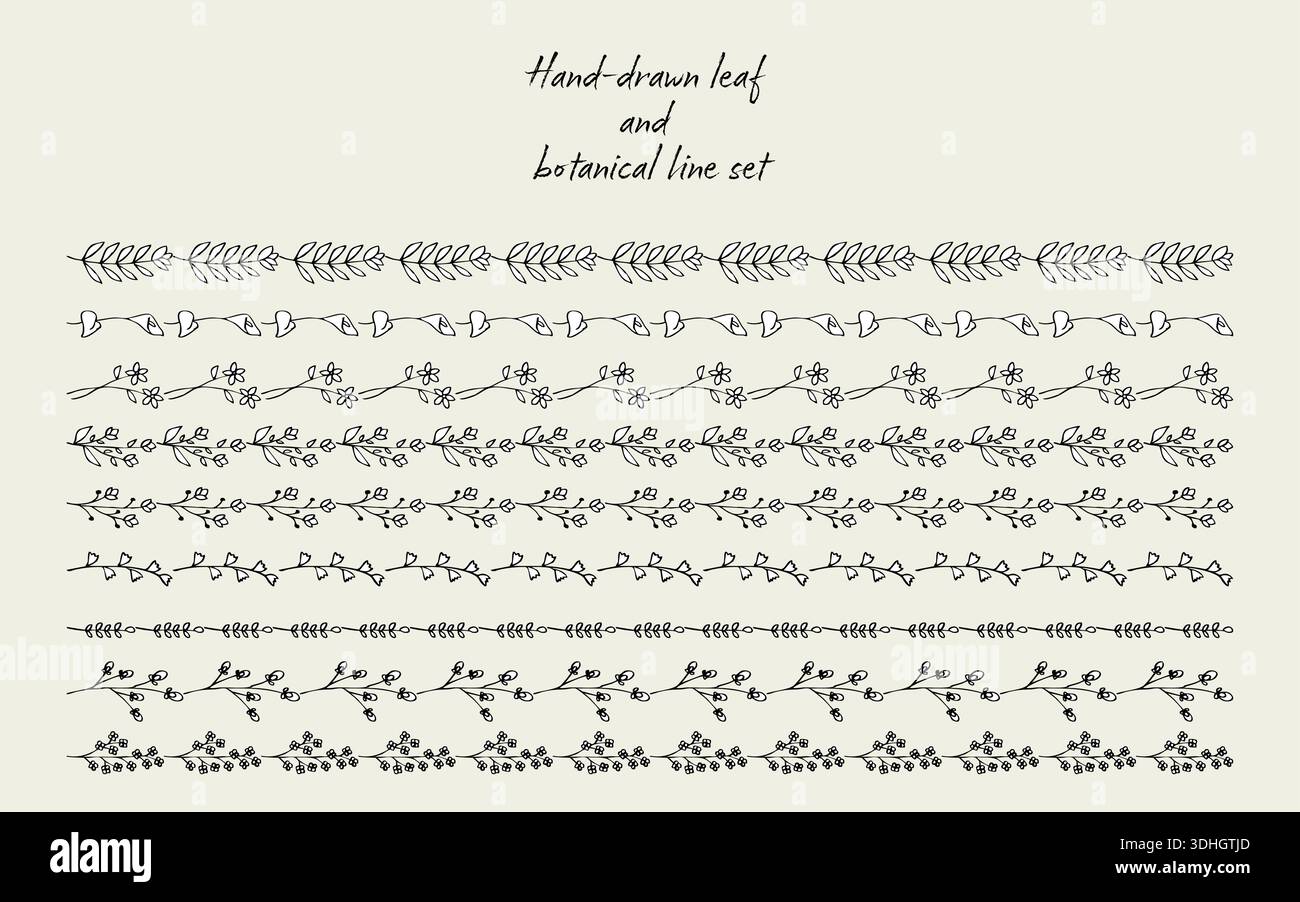 A collection of hand-drawn botanical leaf lines with a clean, organic ...