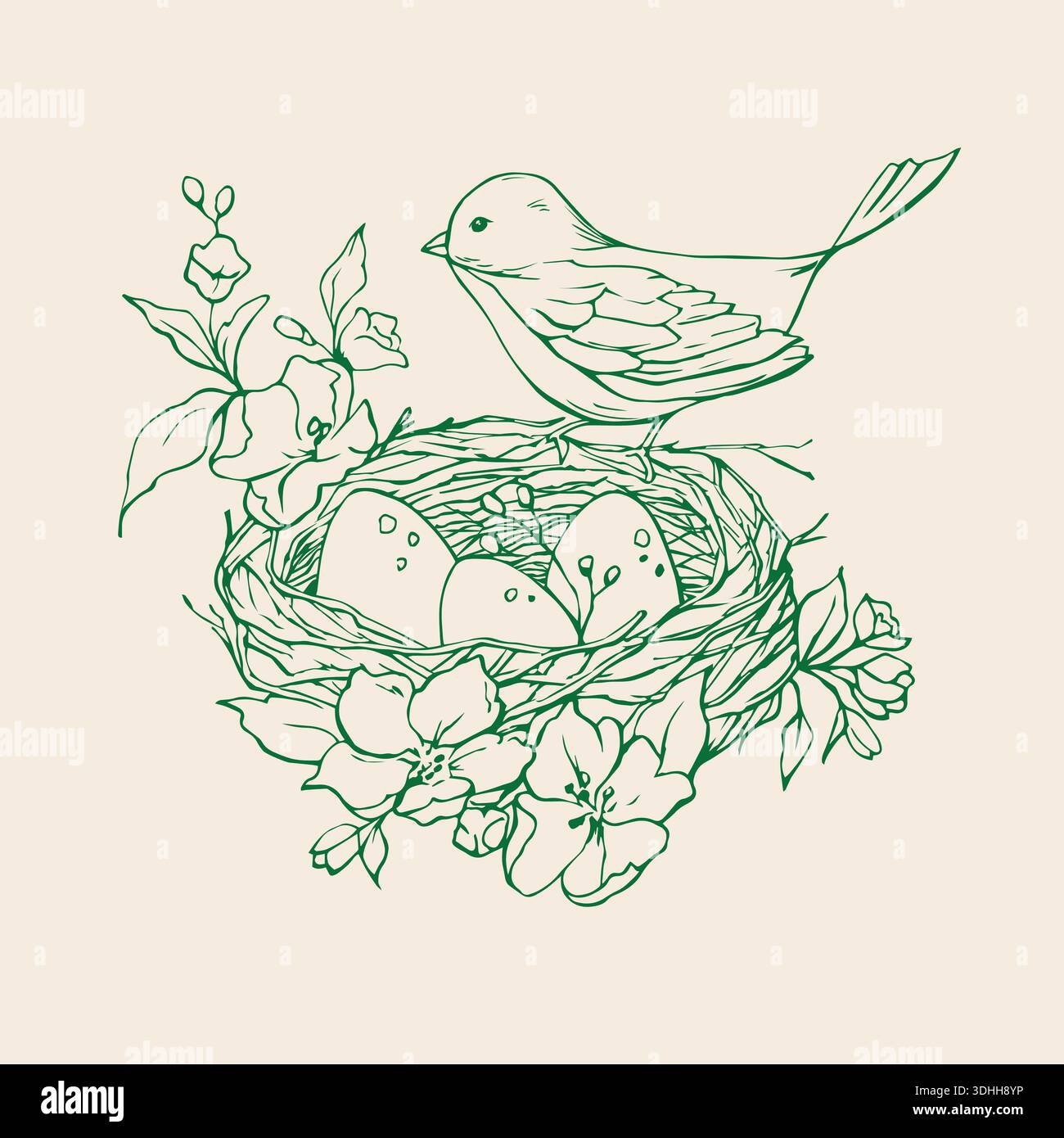 Spring outline sketch bird hi-res stock photography and images - Alamy