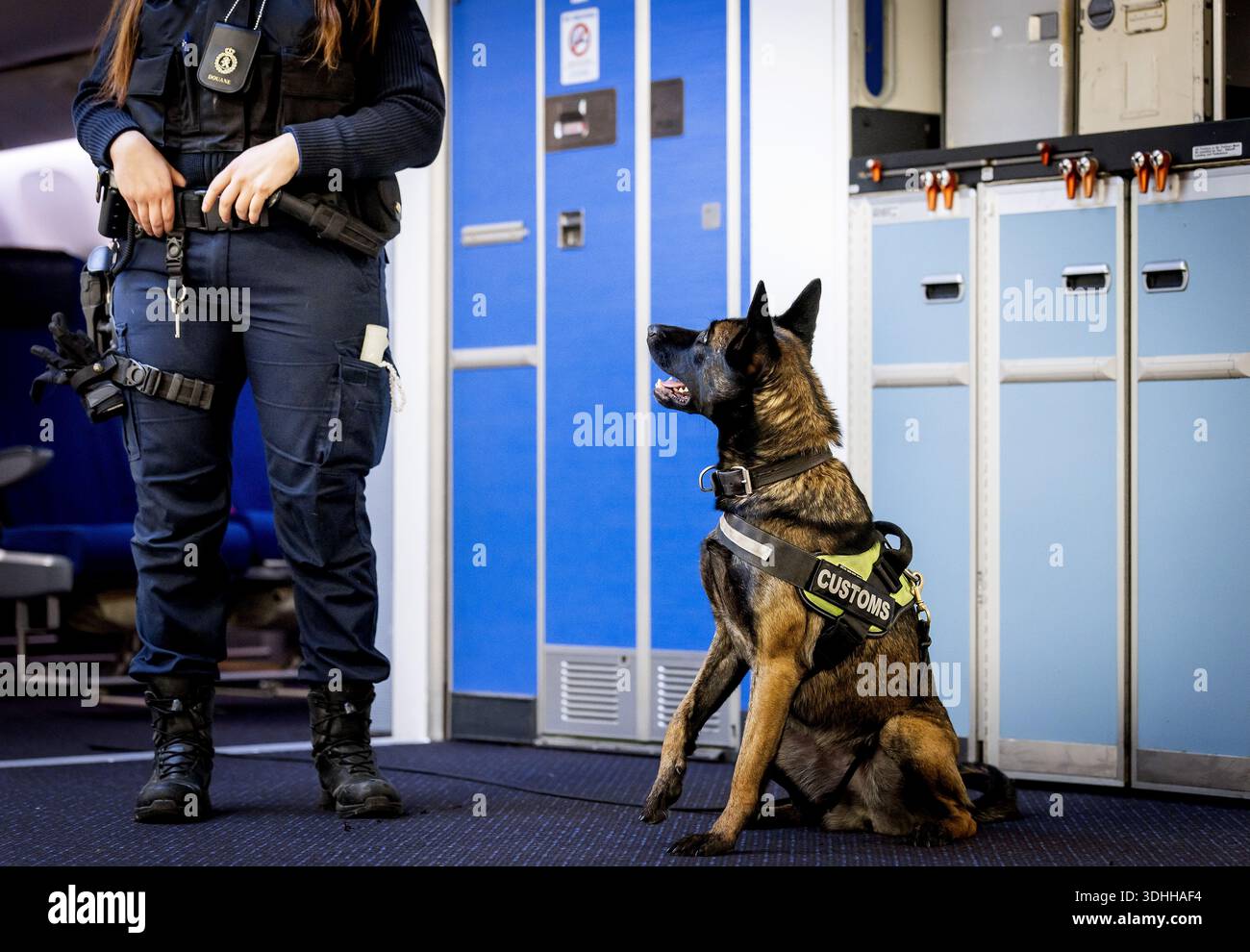 SCHIPHOL - A dog demonstration during a presentation on the Dutch ...