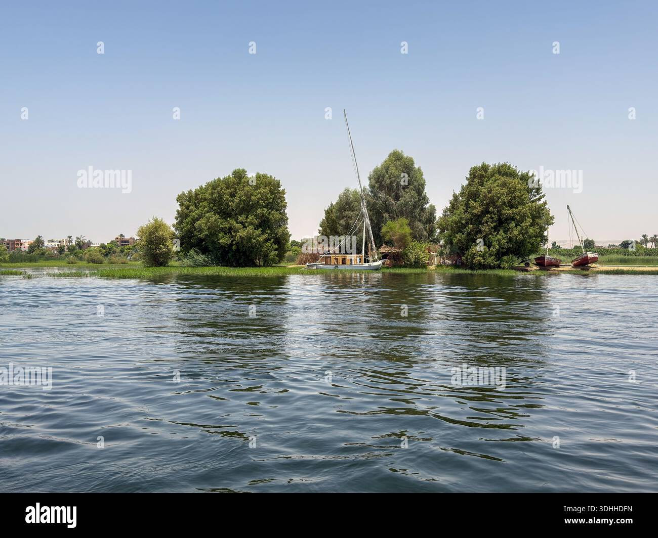 Nile river palm trees smartphone stock photos and images - Alamy