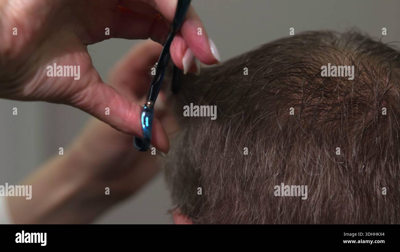 Professional barber meticulously shaping hi-res stock photography and ...