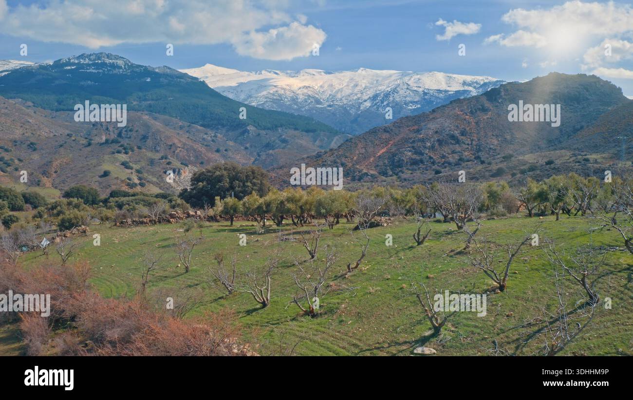 Aerial motion above fields grove hi-res stock photography and images ...