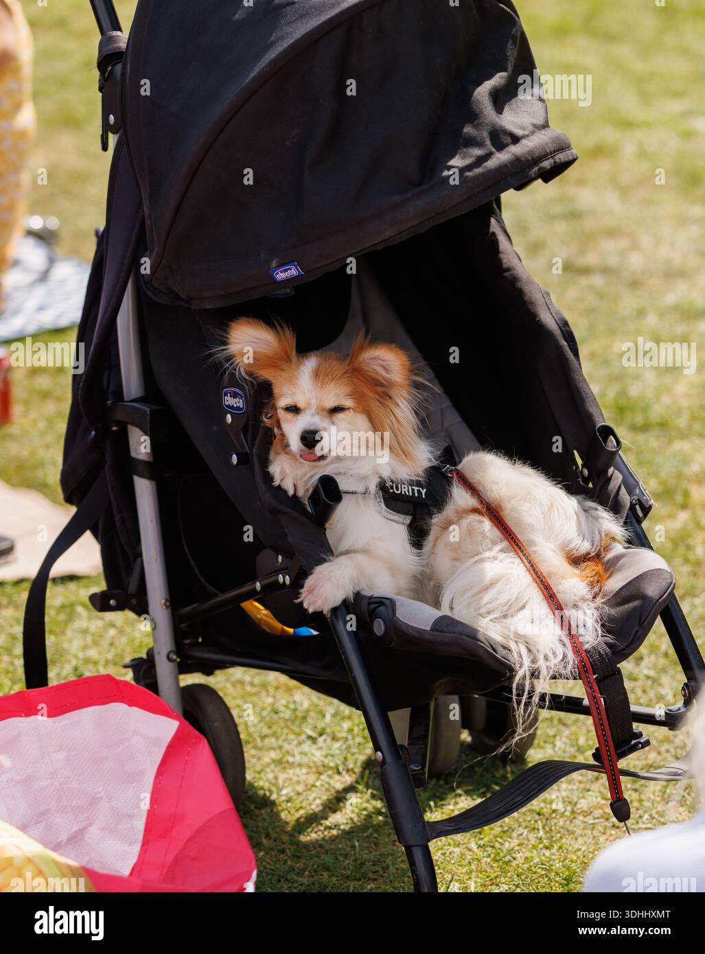 Black pushchair hi-res stock photography and images - Alamy