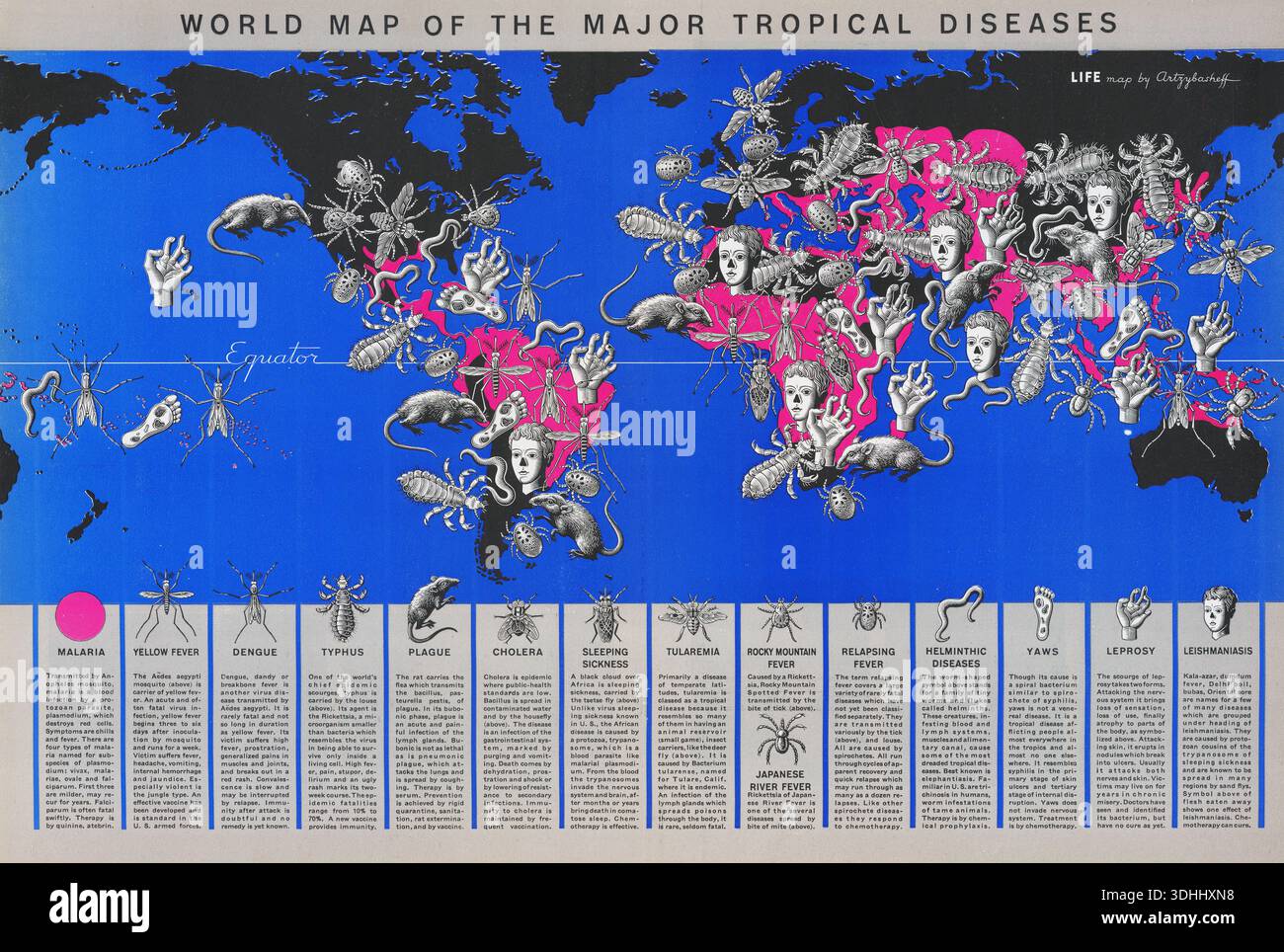 World map of the major tropical diseases hi-res stock photography and ...