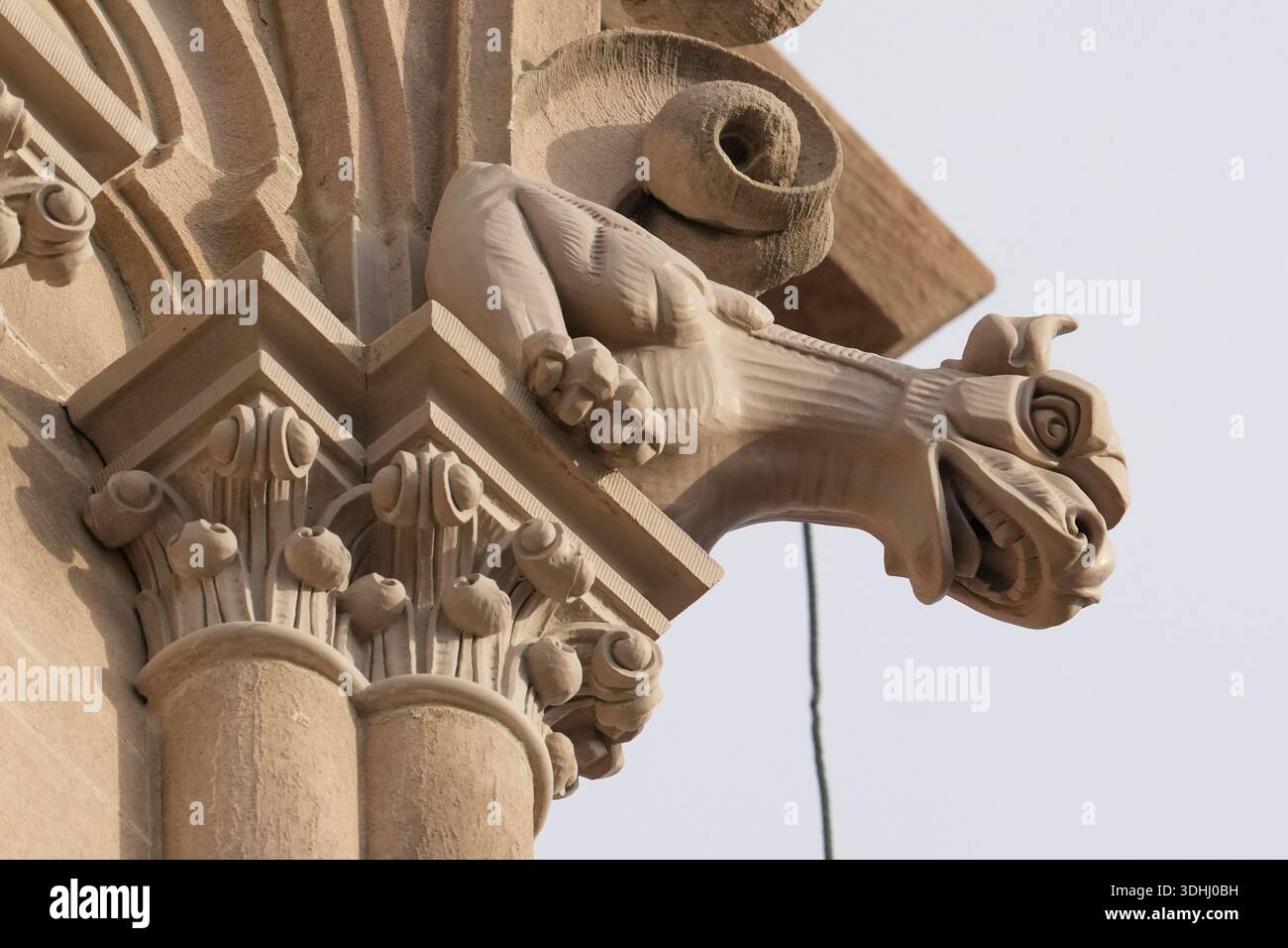 A general view of gargoyles on the Cathedral Basilica of the Assumption ...
