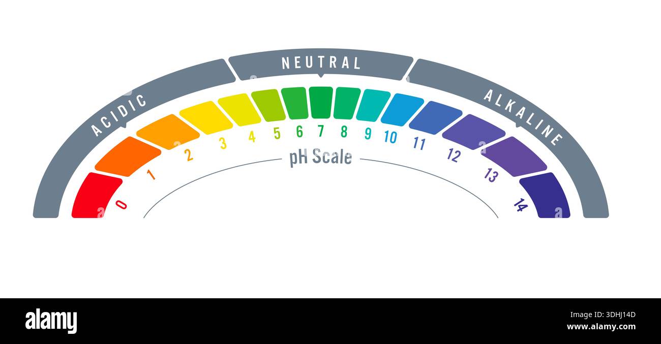 pH scale. ph ruler. ph concept on white background Stock Vector Image ...
