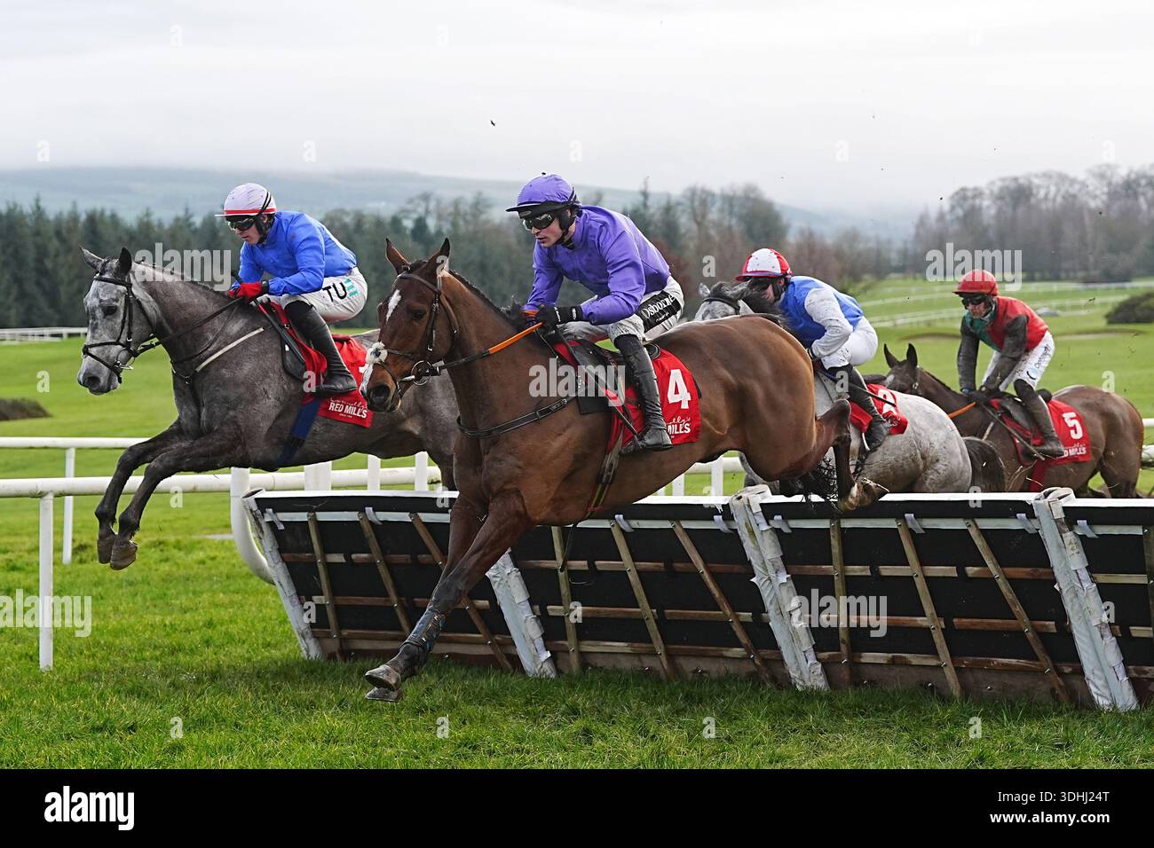 Eagle's Quest ridden by Danny Mullins (centre) during the Connolly's ...