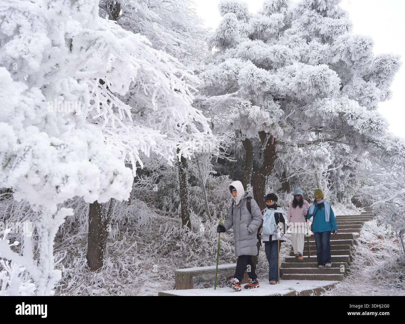 Hengyang, China's Hunan Province. 22nd Jan, 2026. Tourists view the ...