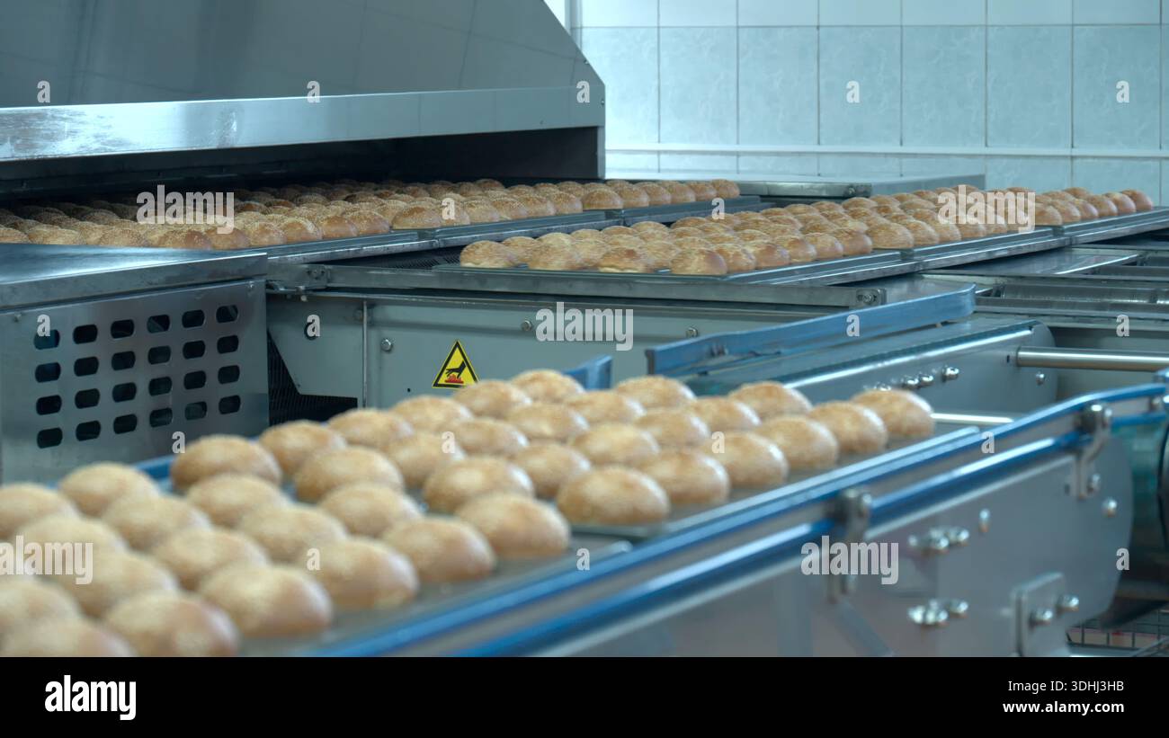 Golden Bread Rolls In Process, Highspeed Bakery Line With Cooked Bread ...