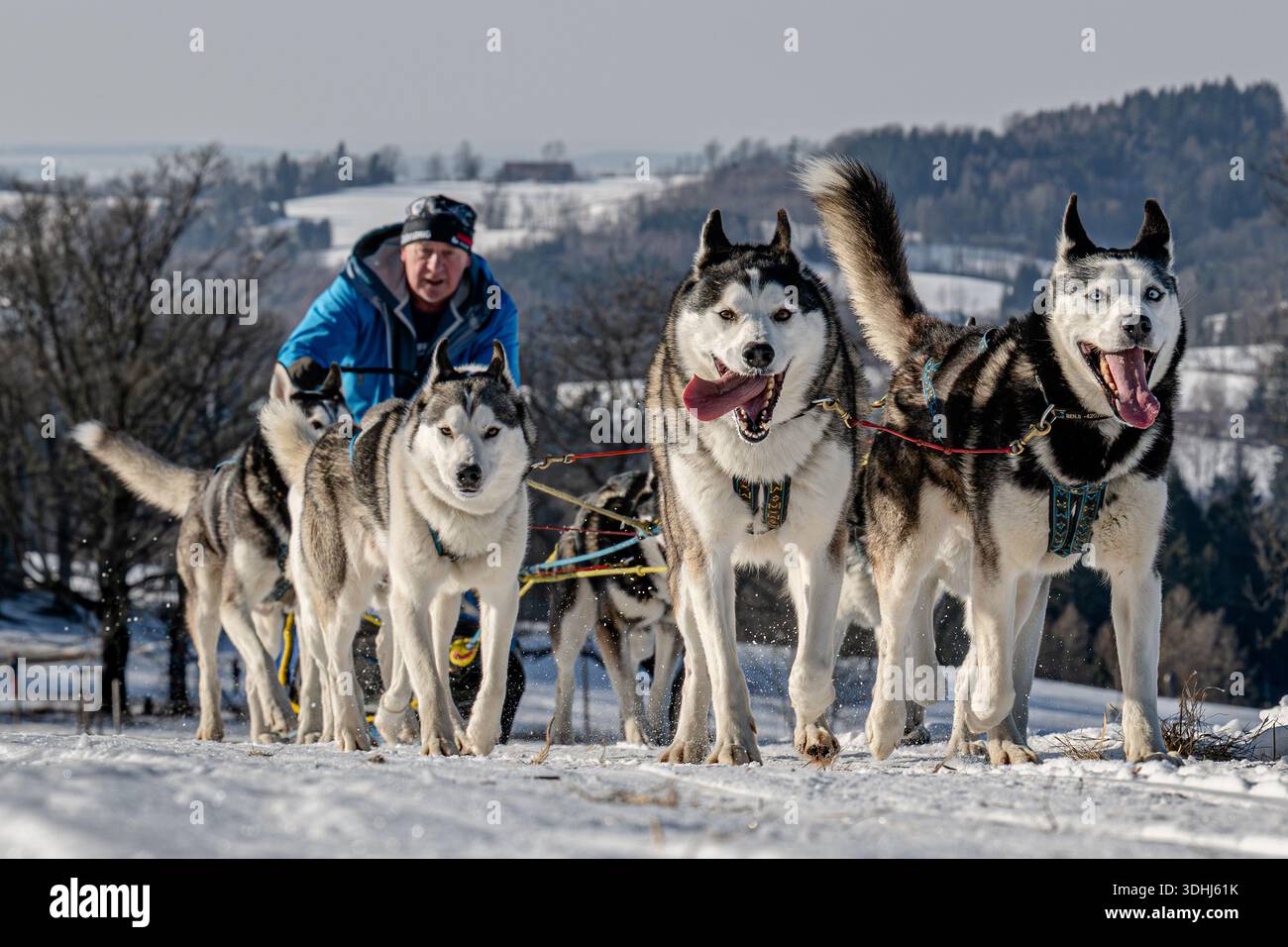 The Sedivackuv long, an international stage sled dog race, in Destne v ...