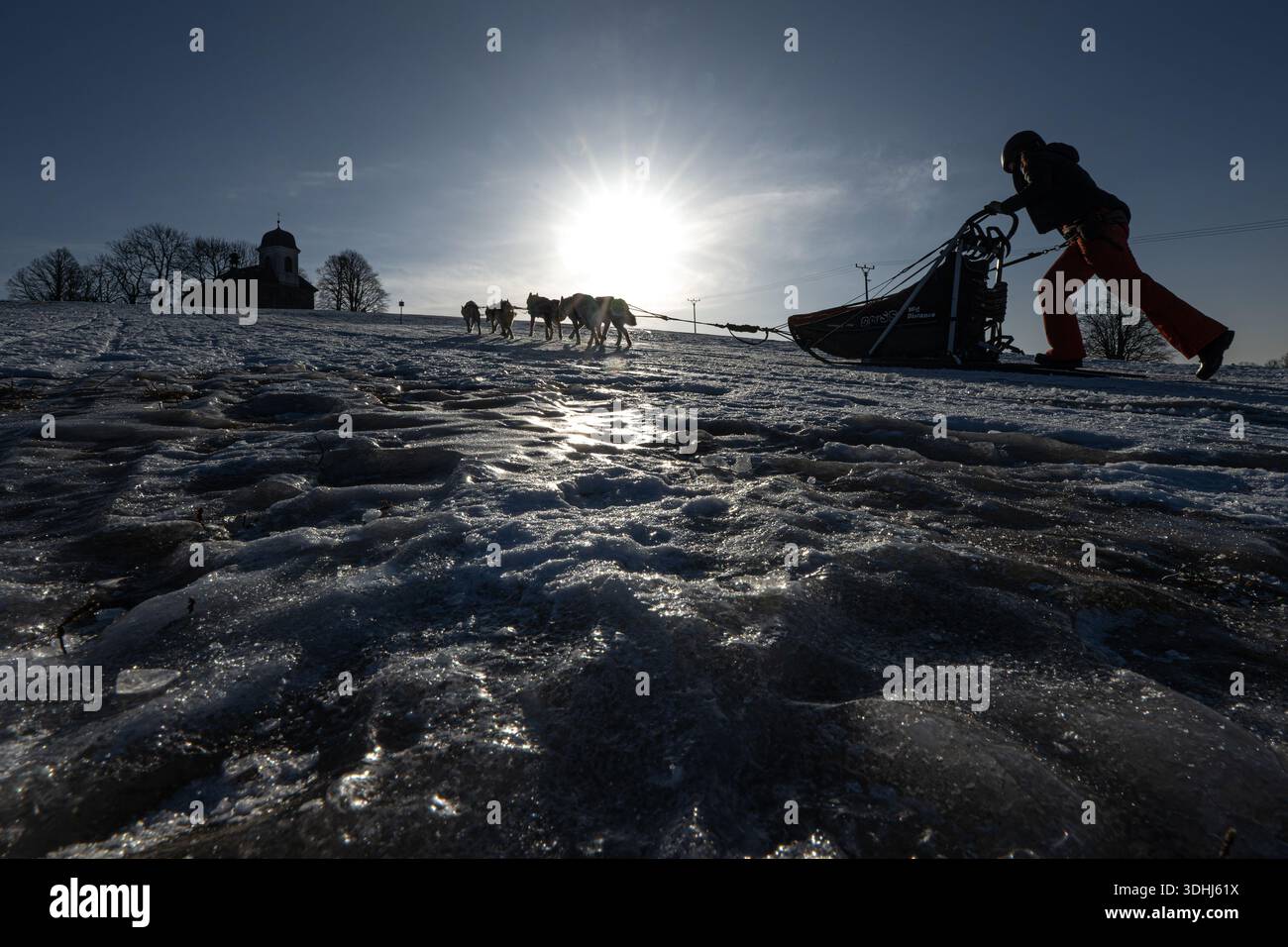 The Sedivackuv long, an international stage sled dog race, in Destne v ...