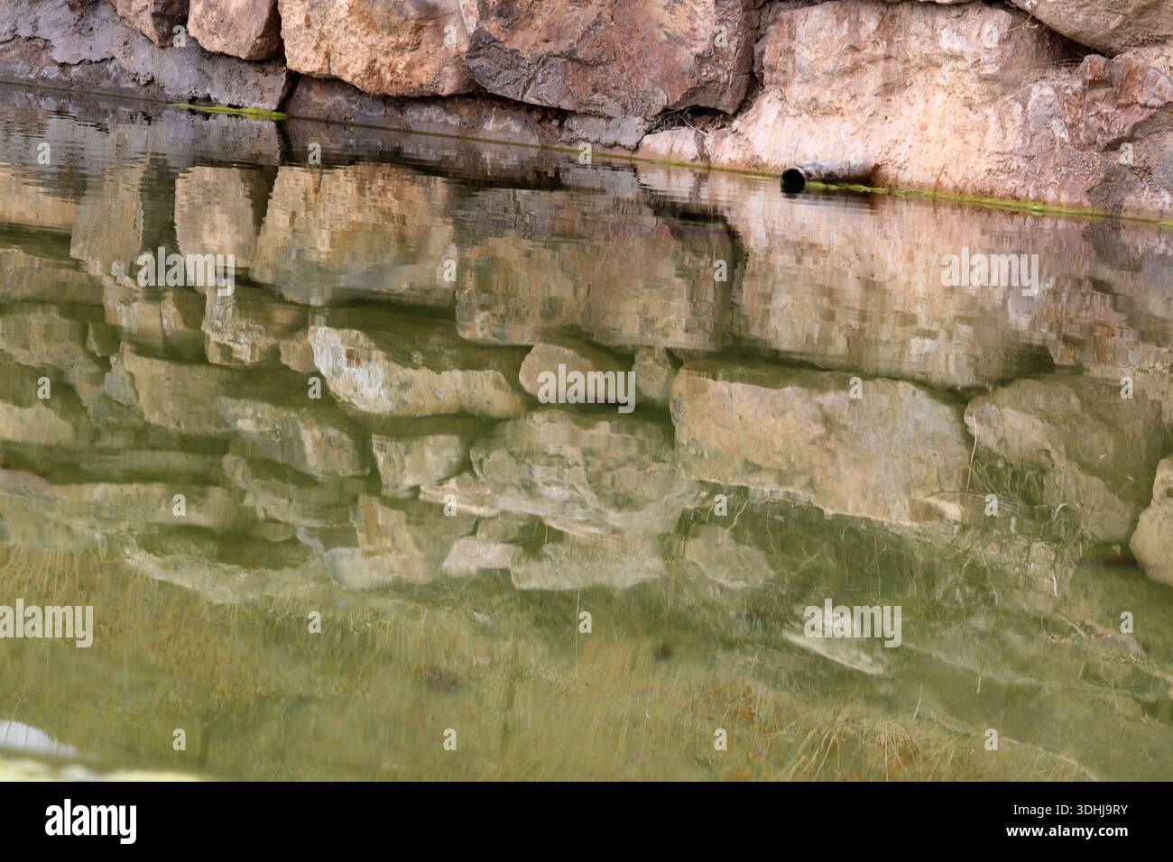 Pool environment filled hi-res stock photography and images - Alamy