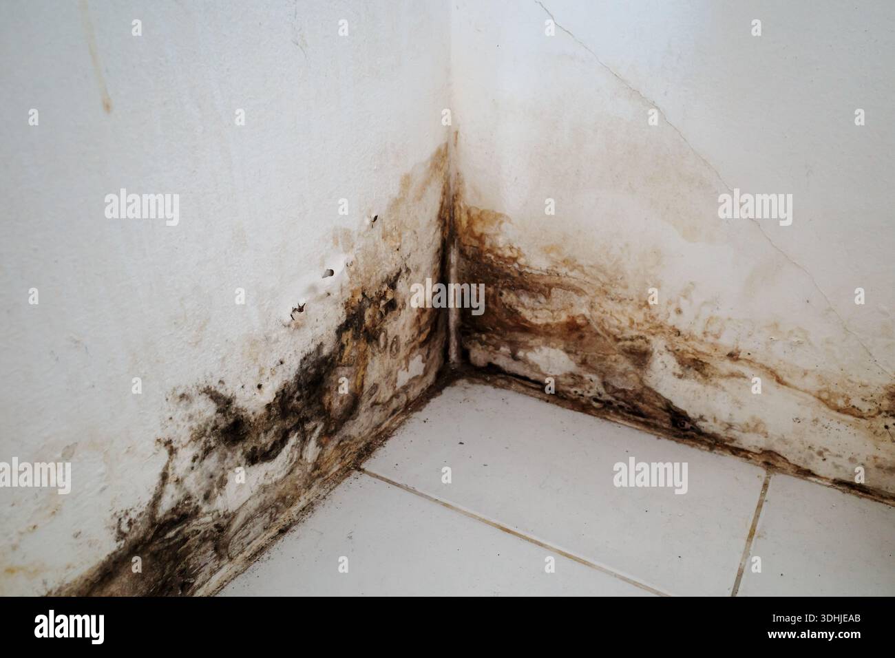 Detail of a dirty room corner showing the effects of moisture and ...