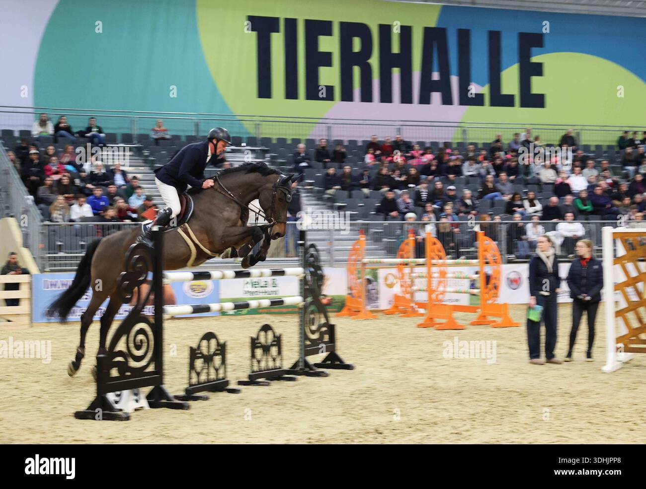 22.01.2026, Berlin - Deutschland. Grüne Woche, Tierhalle, HIppologica ...